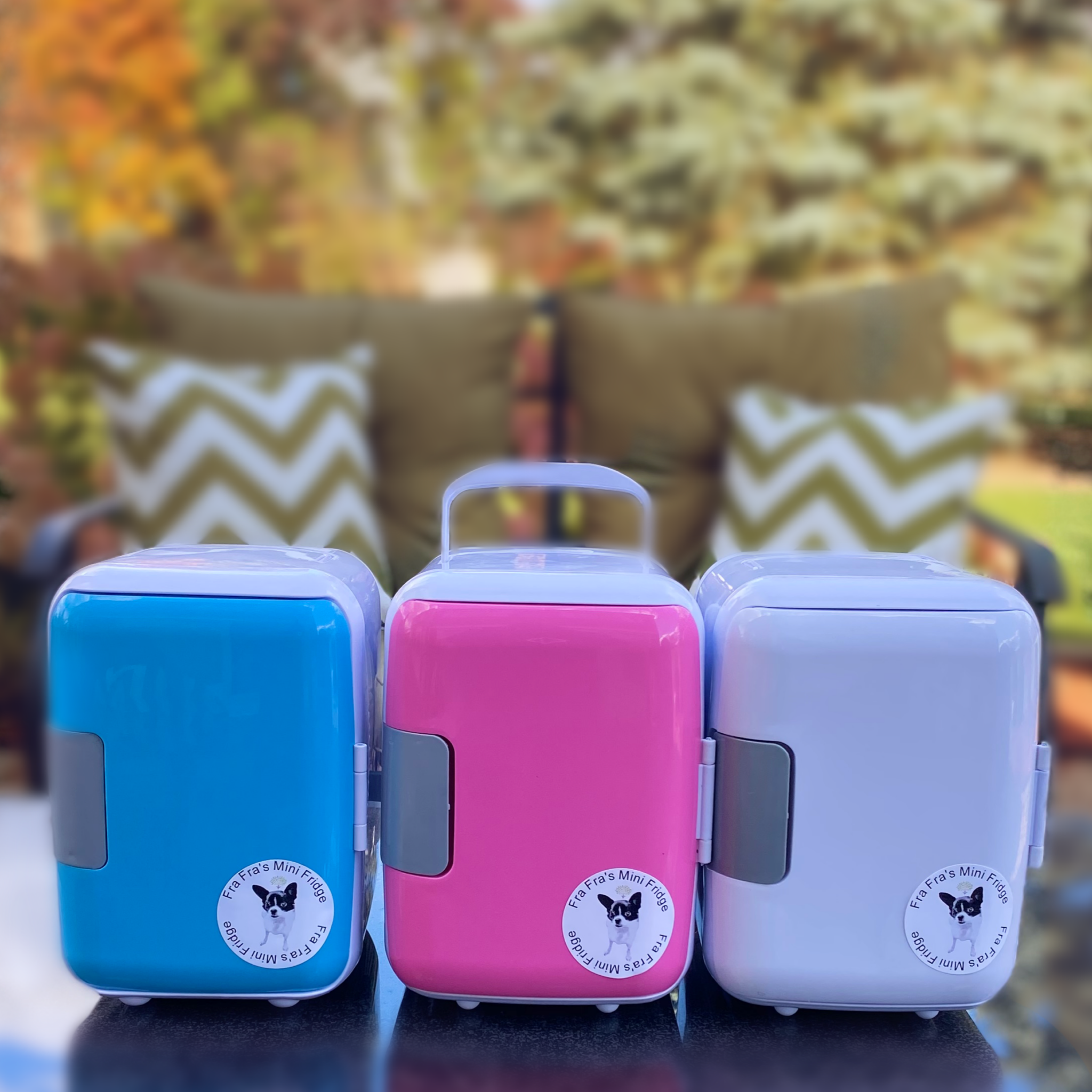 Fra Fra’s Mini Fridge - 4L Beauty & Skincare Fridge – Fra Fra’s Naturals